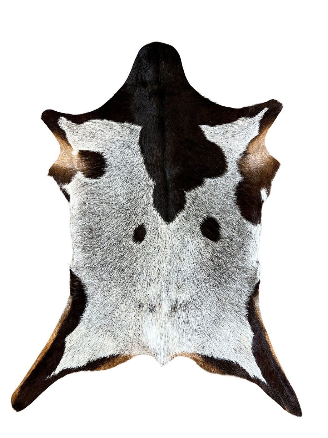 Goat Hides – Hides & Leathers