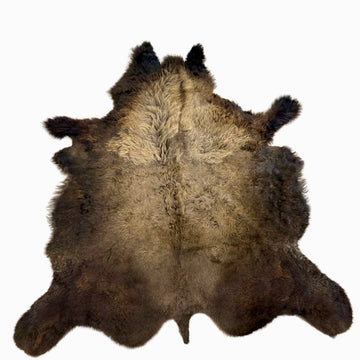 Bison Hide Rugs for Sale | American Buffalo Hides – Hides & Leathers