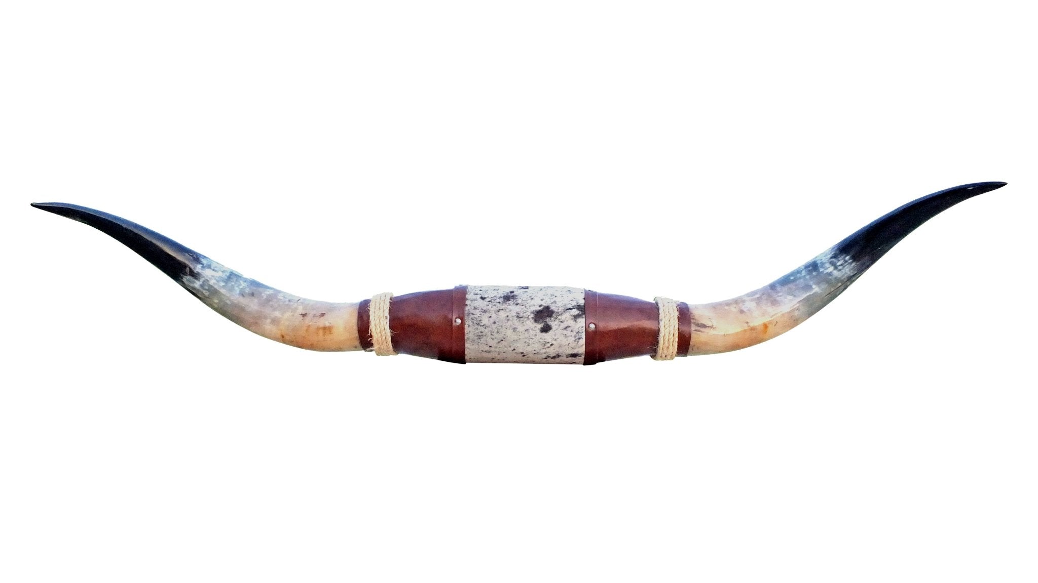 Genuine Mounted Polished Steer Horns - 5' Long – Hides & Leathers
